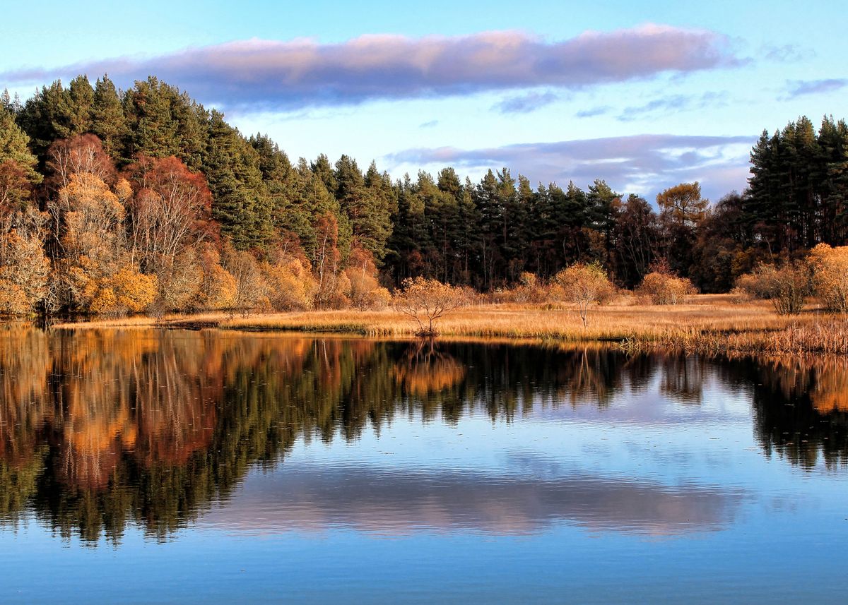 'Loch Kildary Scotland' Poster, picture, metal print, paint by Dave ...
