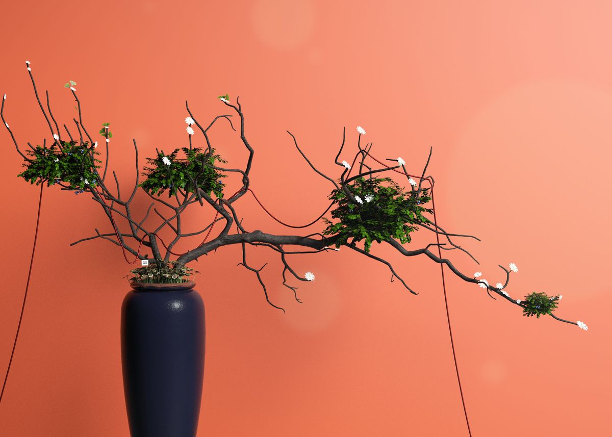 'Bonzai' Poster, picture, metal print, paint by Elan Afzali | Displate