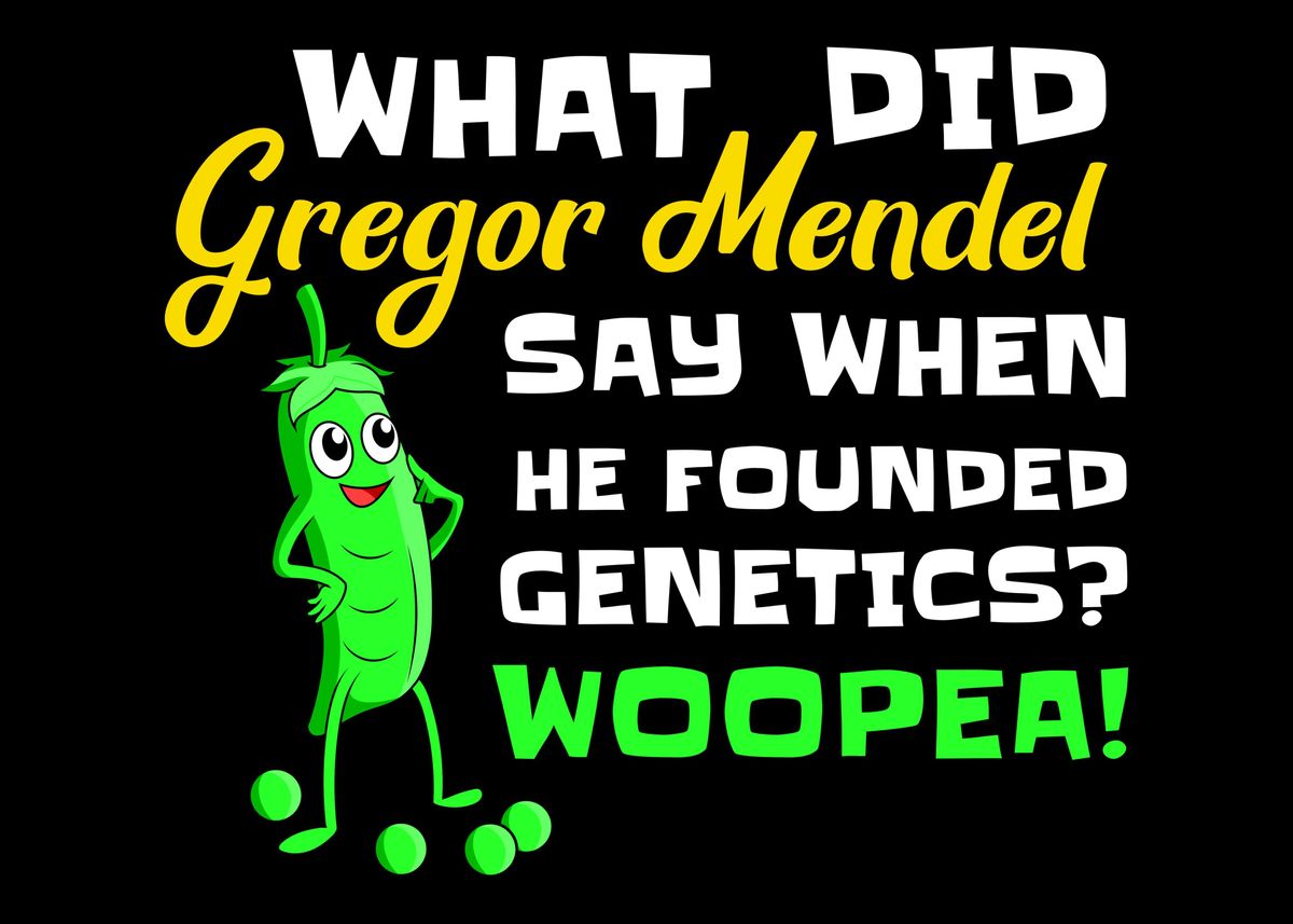 'Chickbean Genetics' Poster, picture, metal print, paint by ...