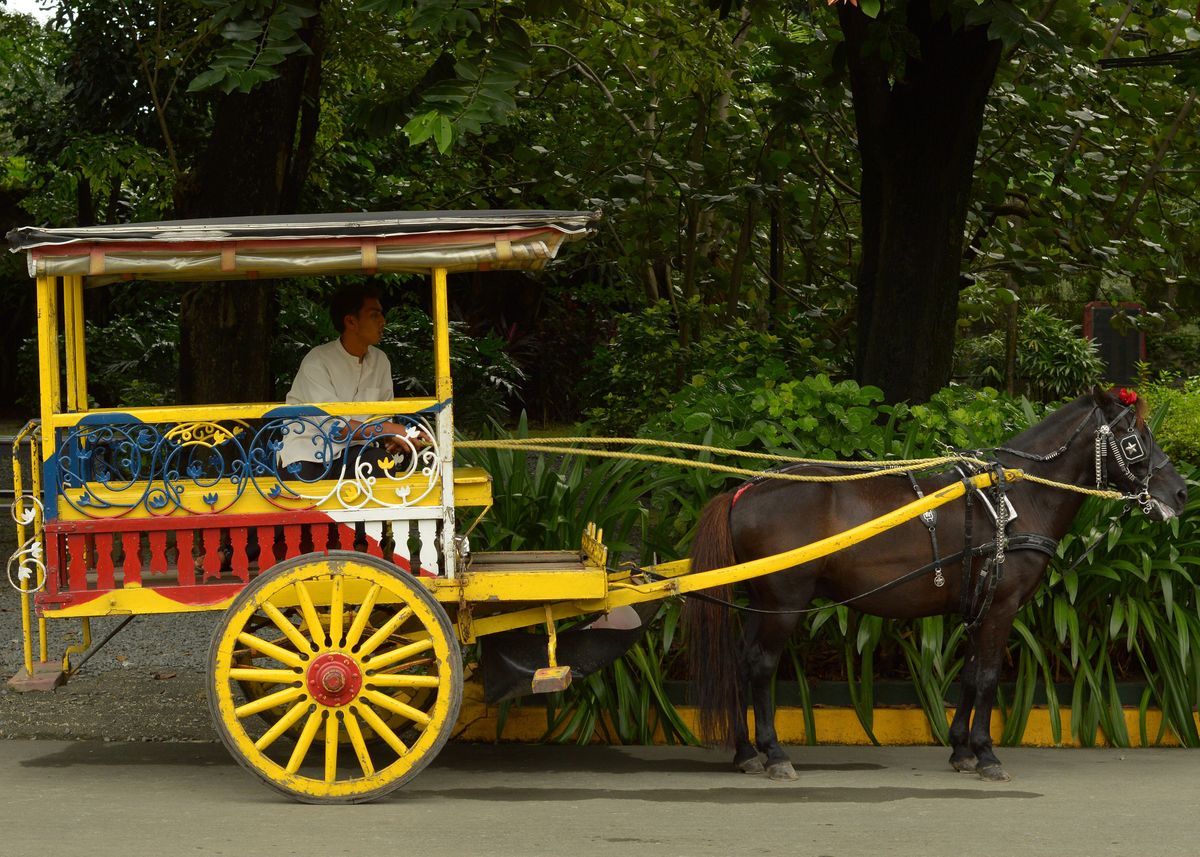 'Kalesa' Poster by Mary Joy Galian | Displate