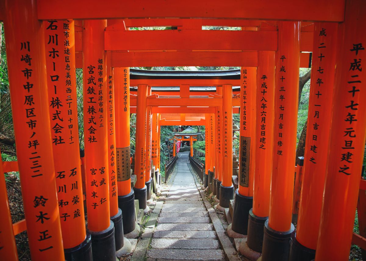 'Fushimi Inari Taisha' Poster, picture, metal print, paint by Arckedo ...