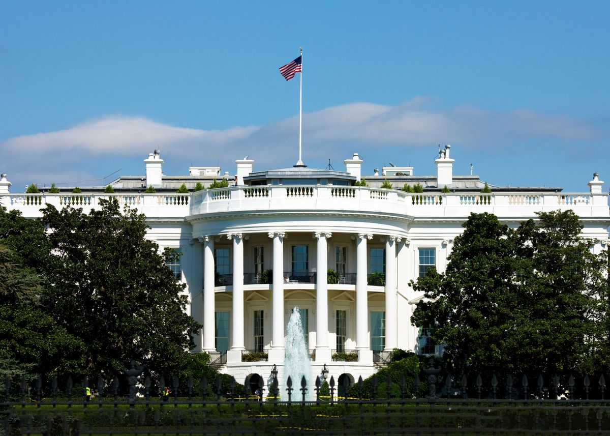 'White House' Poster, picture, metal print, paint by tony4urban | Displate