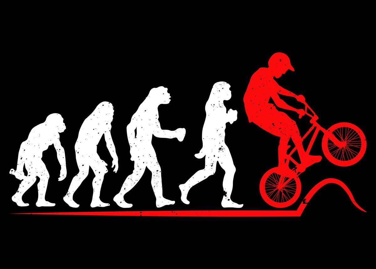 'Bmx Evolution' Poster, picture, metal print, paint by QQnicorn | Displate