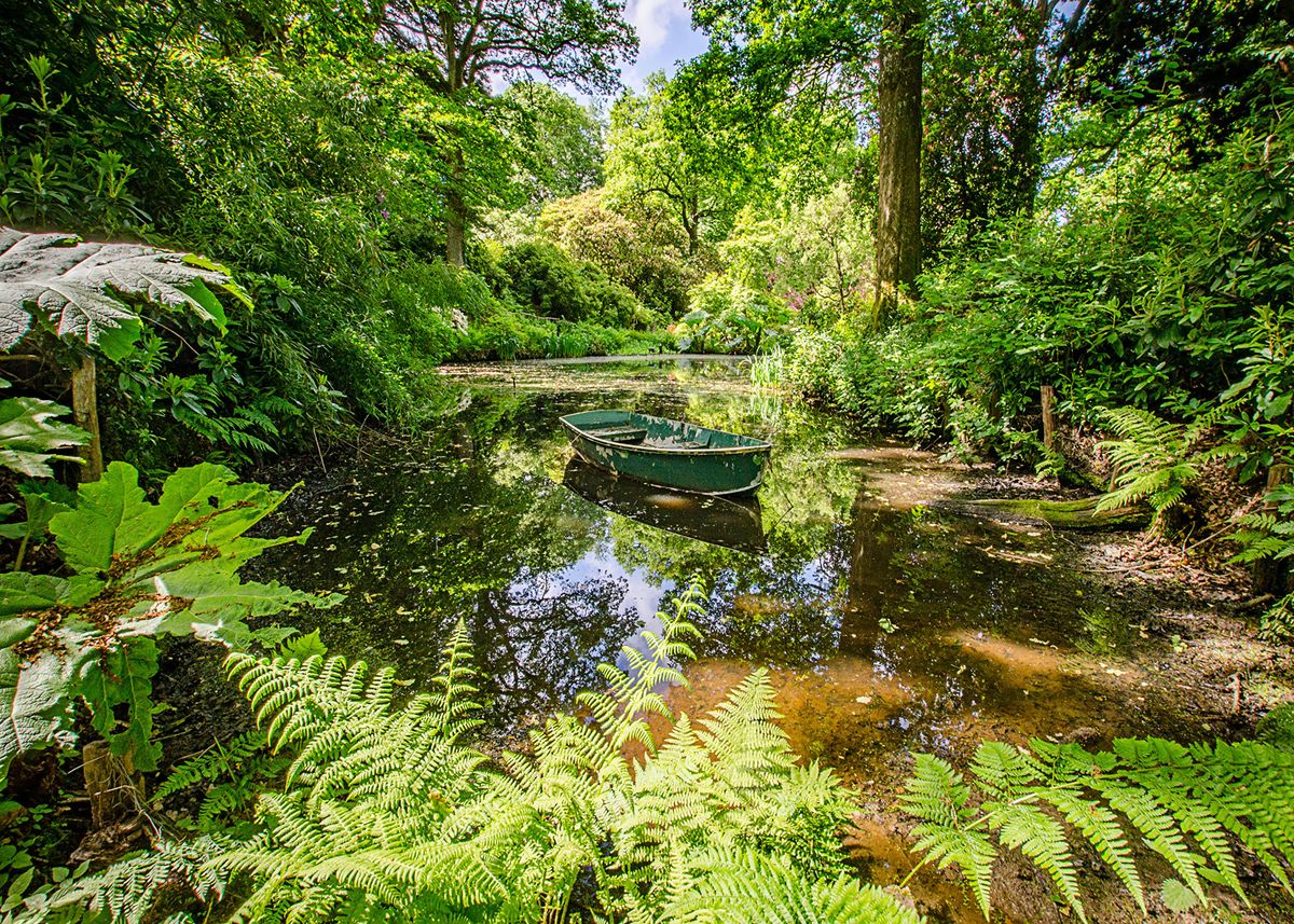 'Nature' Poster, picture, metal print, paint by sykeswood ward83310 ...