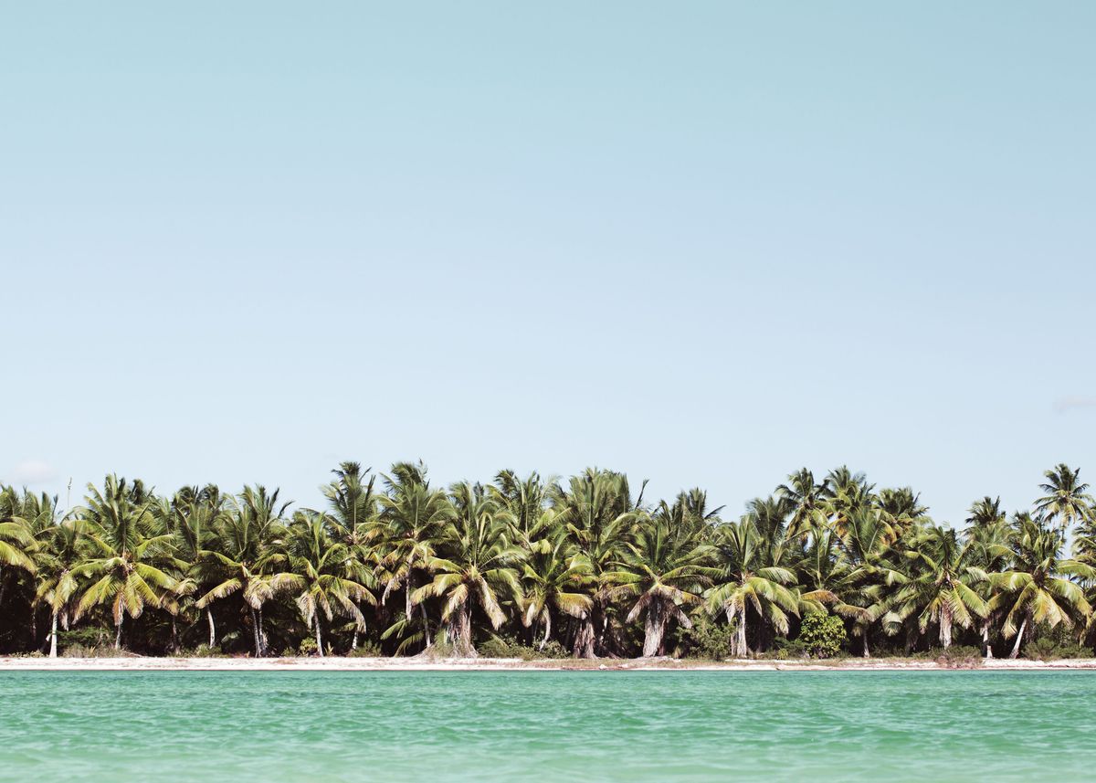 'Exotic Sea Beach Palm Shor' Poster, picture, metal print, paint by ...