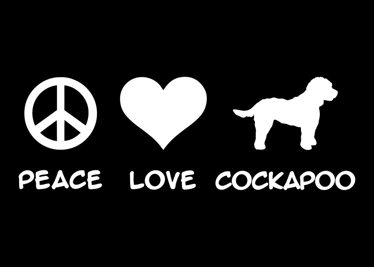 'Cockapoo' Poster, picture, metal print, paint by Designzz | Displate