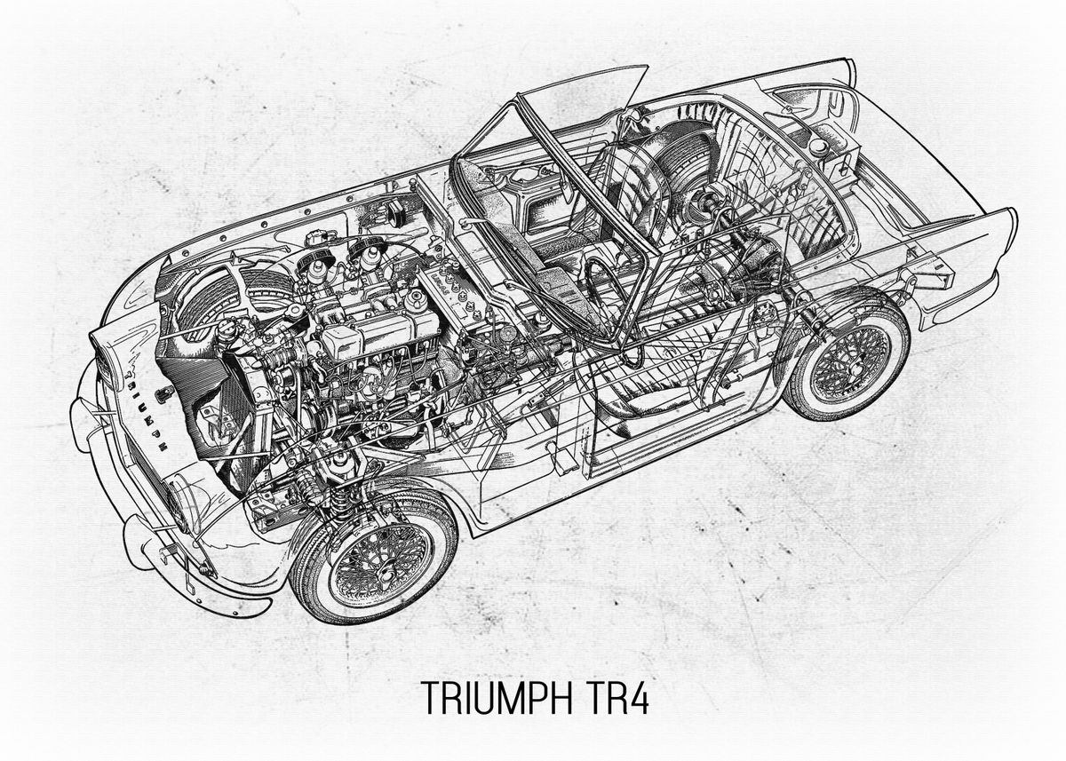 'Triumph TR4' Poster, picture, metal print, paint by DAVID CARL PLATES ...