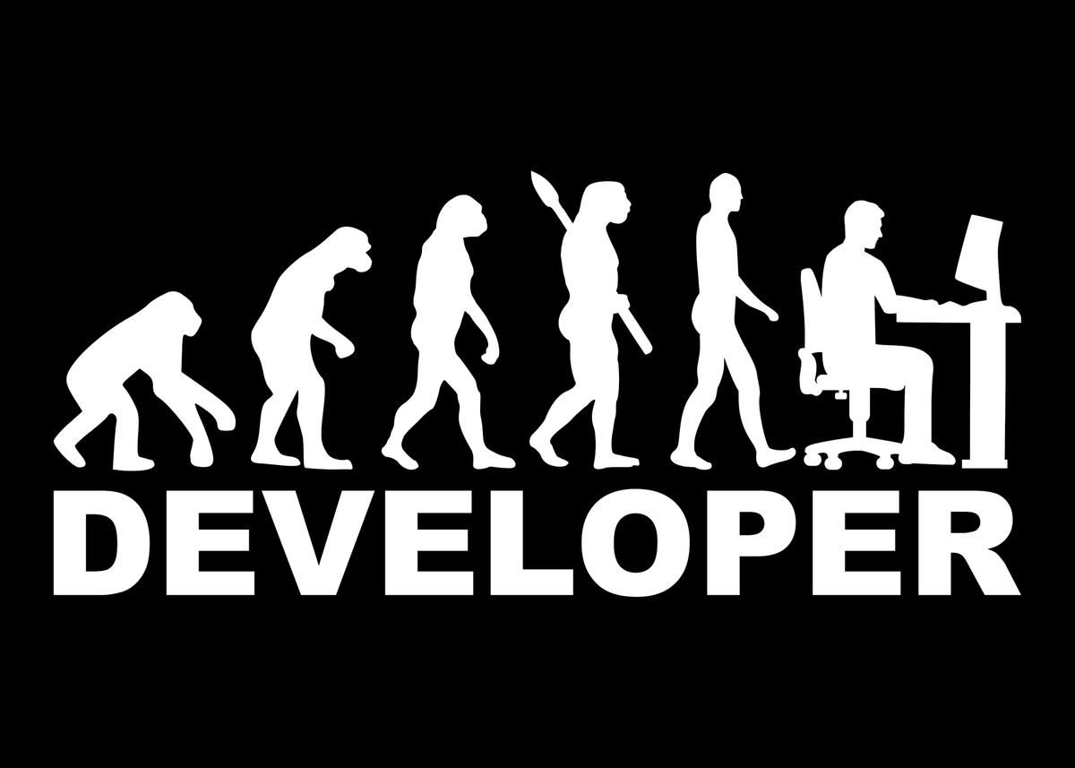 'Developer' Poster by Designzz | Displate