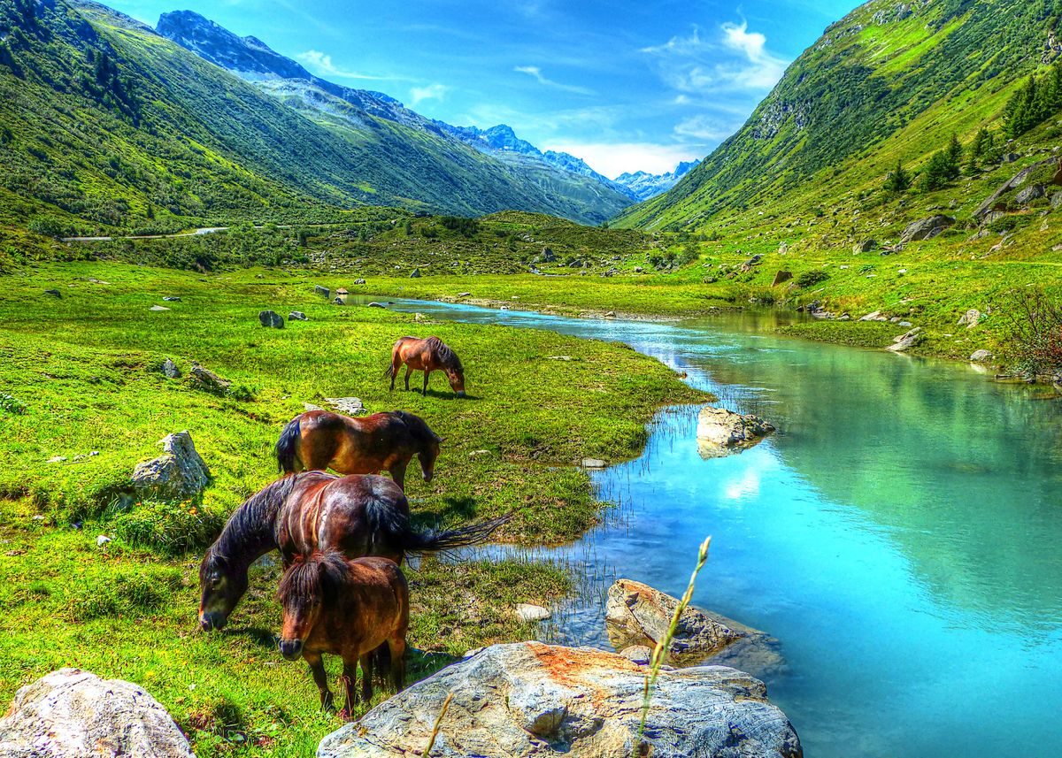 'Nature' Poster, picture, metal print, paint by popedavid361 6555 ...