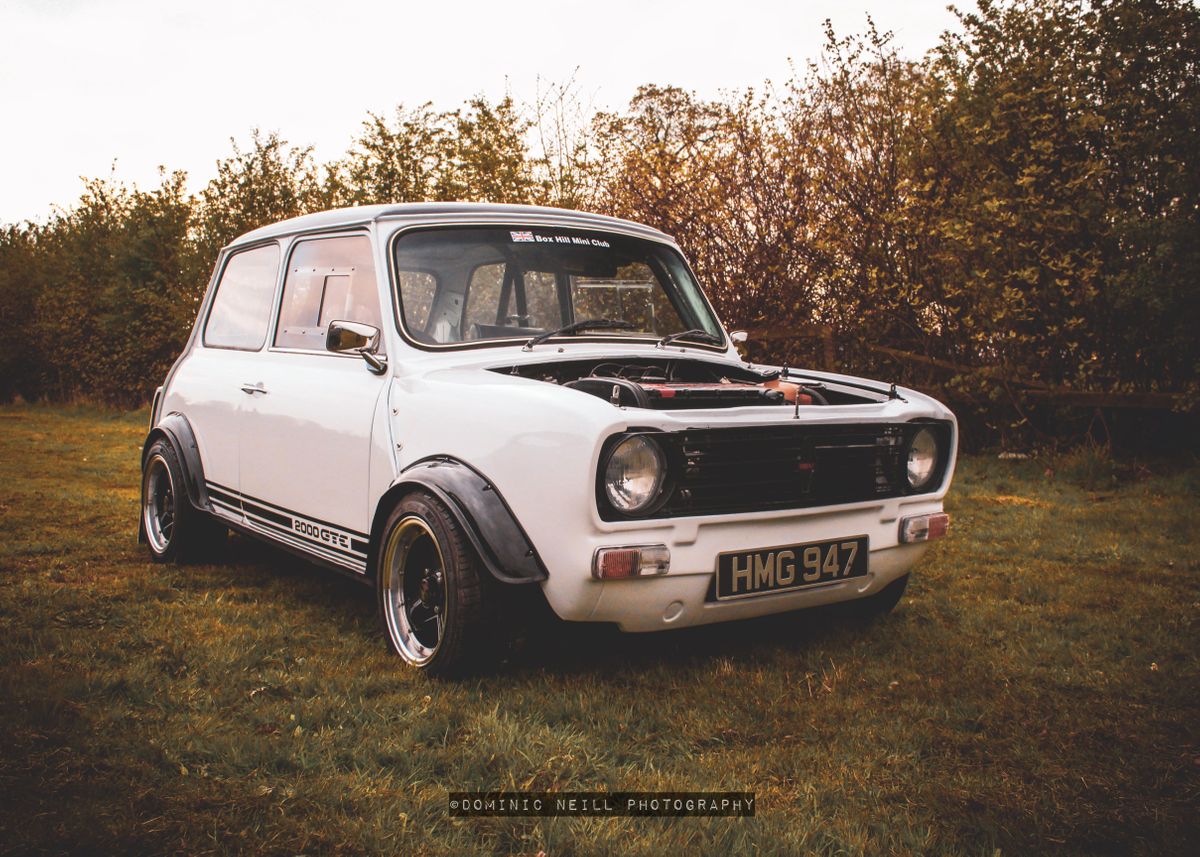 'Classic Mini' Poster, picture, metal print, paint by Dominic Neill ...