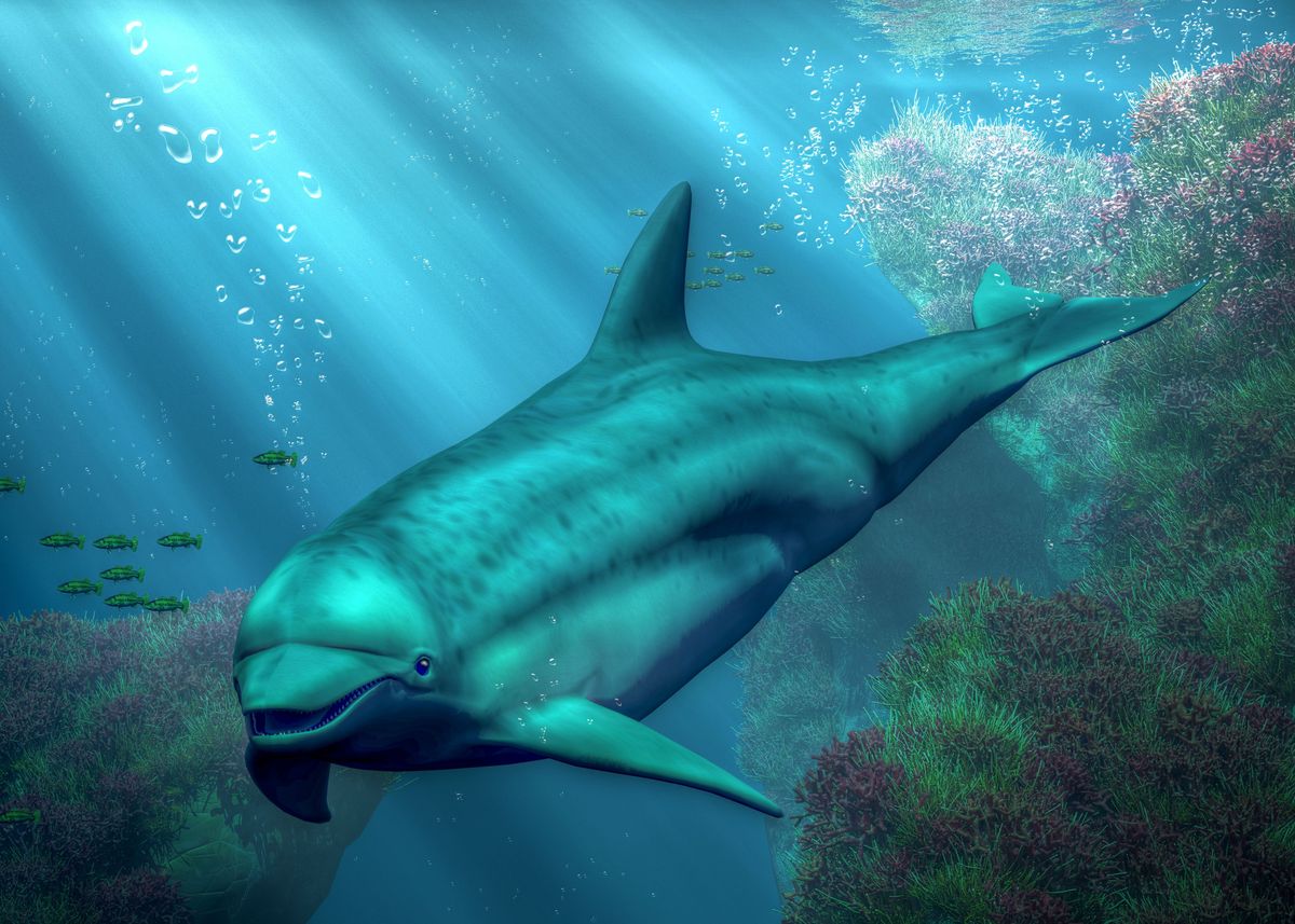 'The Happy Dolphin' Poster by Daniel Eskridge | Displate