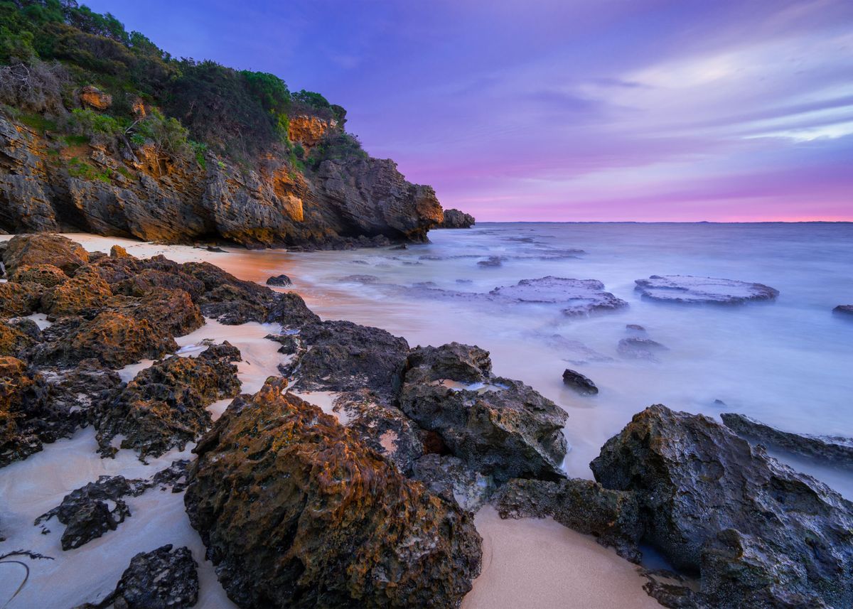 'Australia Australian Beach' Poster, picture, metal print, paint by ...