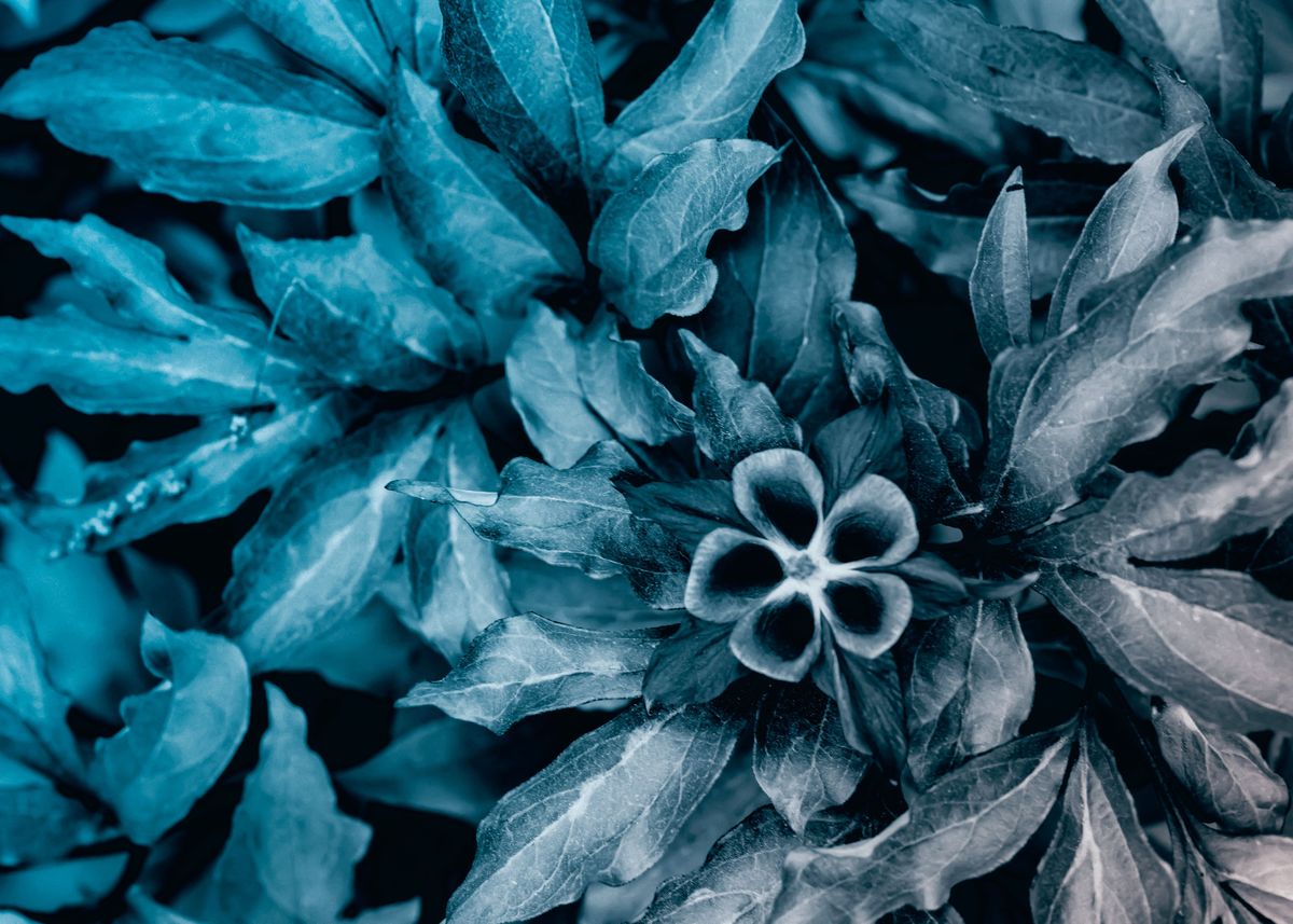 'Blue Zen Floral' Poster by Art Shack | Displate