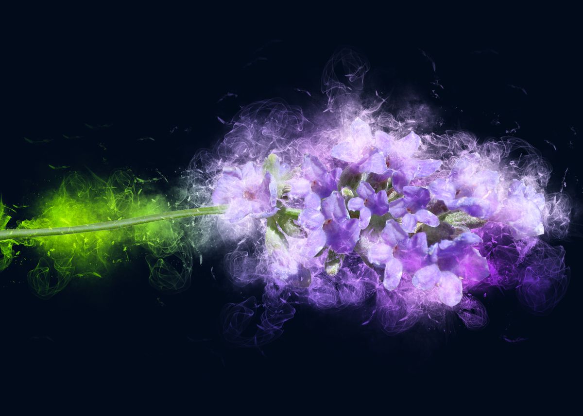 'lavender smoky ' Poster by The Bright Art | Displate