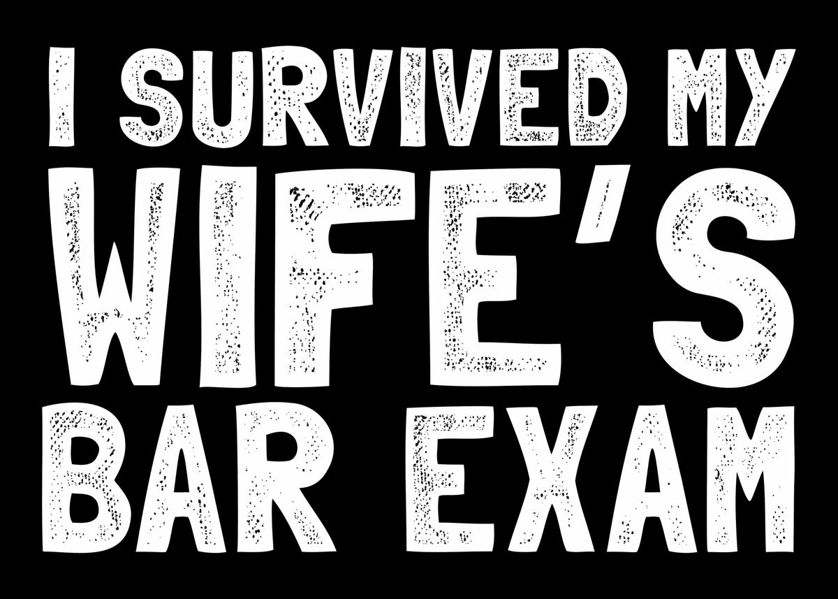 'I survived my wifes bar e' Poster, picture, metal print, paint by Marc ...