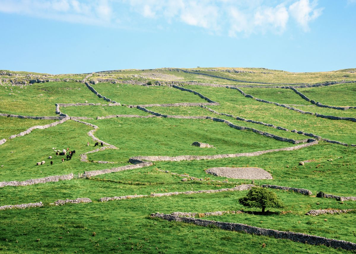 'North Yorkshire Landscape' Poster, picture, metal print, paint by ...