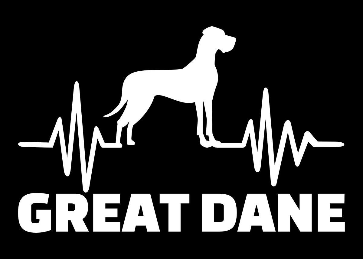 'Great Dane' Poster, picture, metal print, paint by Designzz | Displate