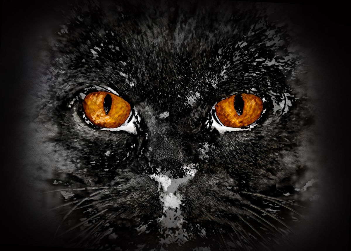 'The Cats Gaze' Poster, picture, metal print, paint by Inspirate | Displate