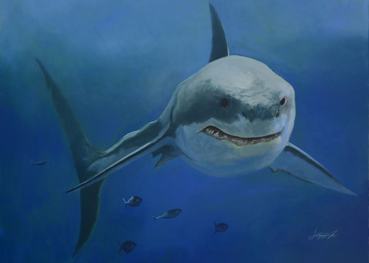 'Great White' Poster by Alhaitham Jassar | Displate