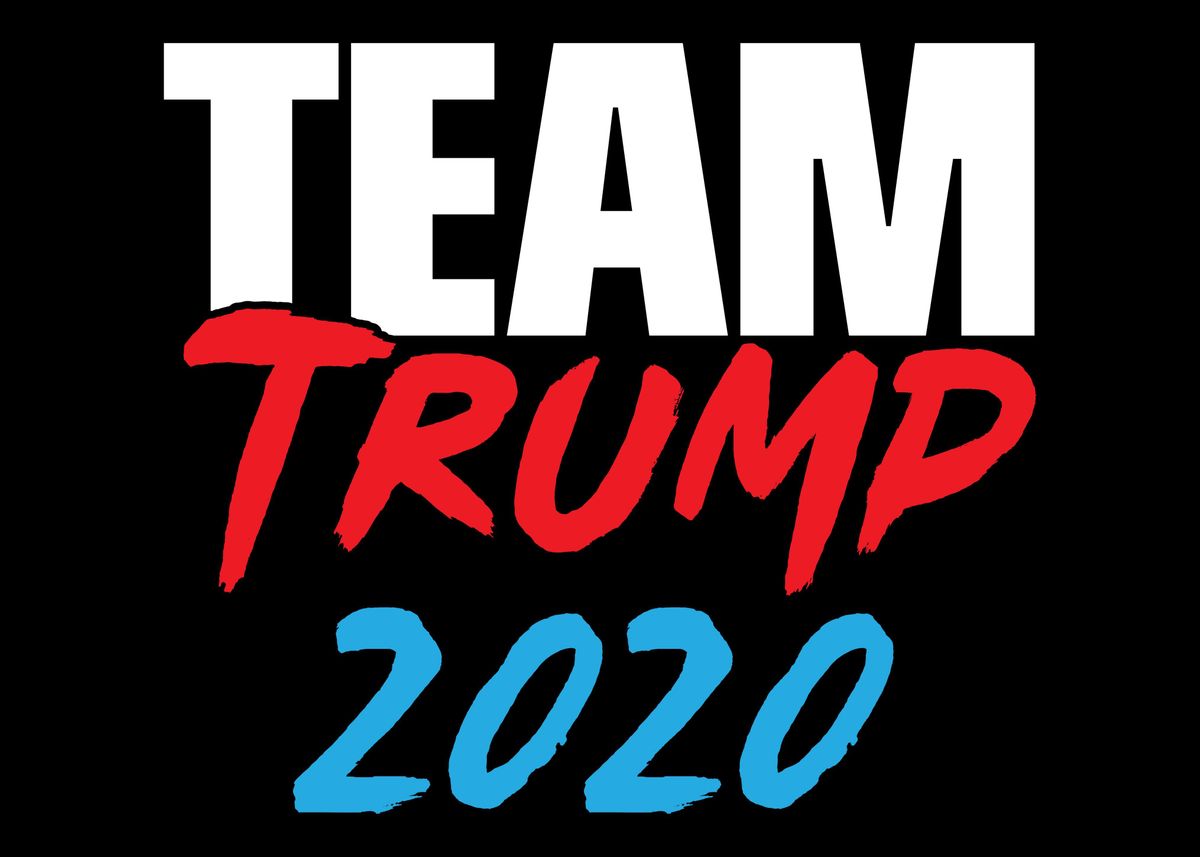 'Team Trump 2020 USA Amer' Poster, picture, metal print, paint by ...