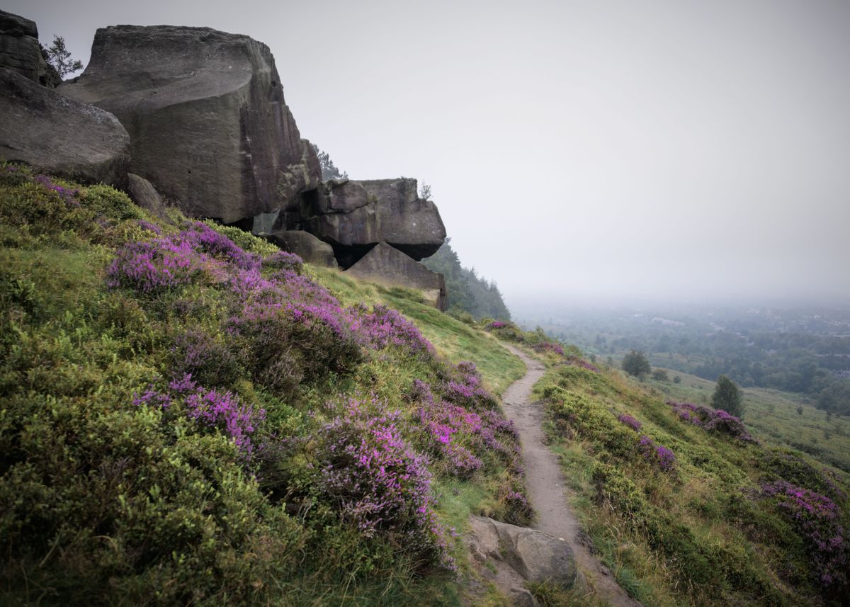 'Ilkley Moor Landscape' Poster, picture, metal print, paint by Svetlana ...