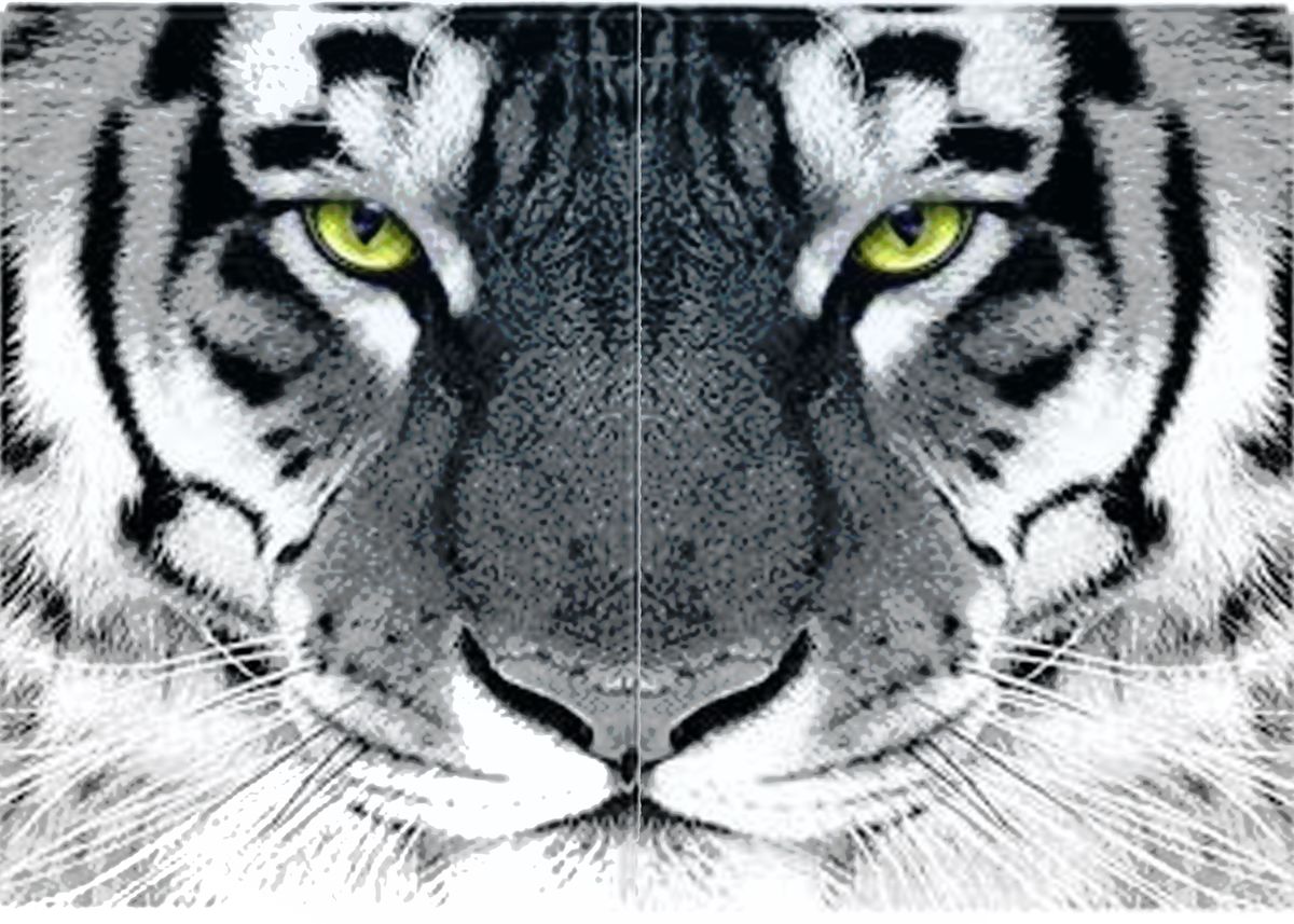 'harimau' Poster by muh arie | Displate