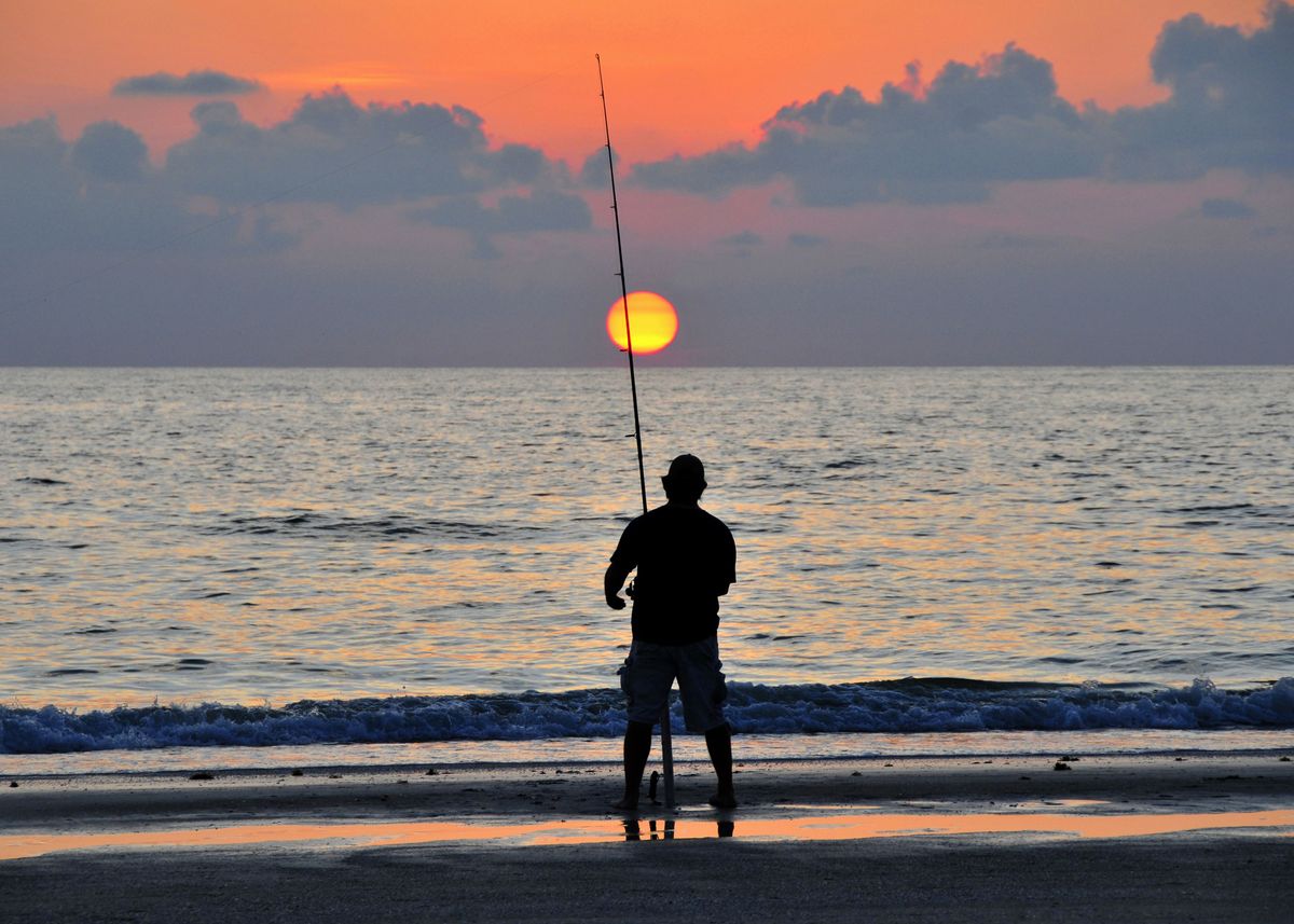 'Catching the sun' Poster, picture, metal print, paint by David ...