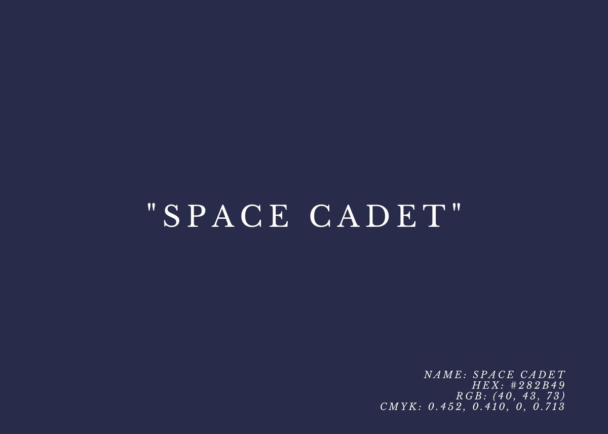 'Space Cadet' Poster, picture, metal print, paint by BLVCK BLEACH ...