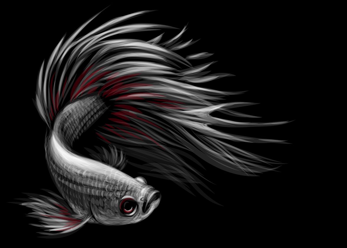 'Fighting Fish Sketch' Poster, picture, metal print, paint by Kunyah ...