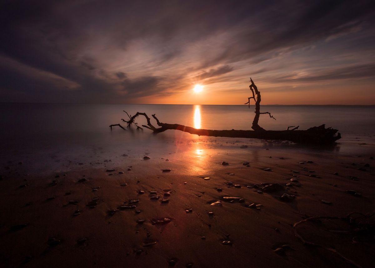 'Sunset on Sker Beach' Poster, picture, metal print, paint by Leighton ...