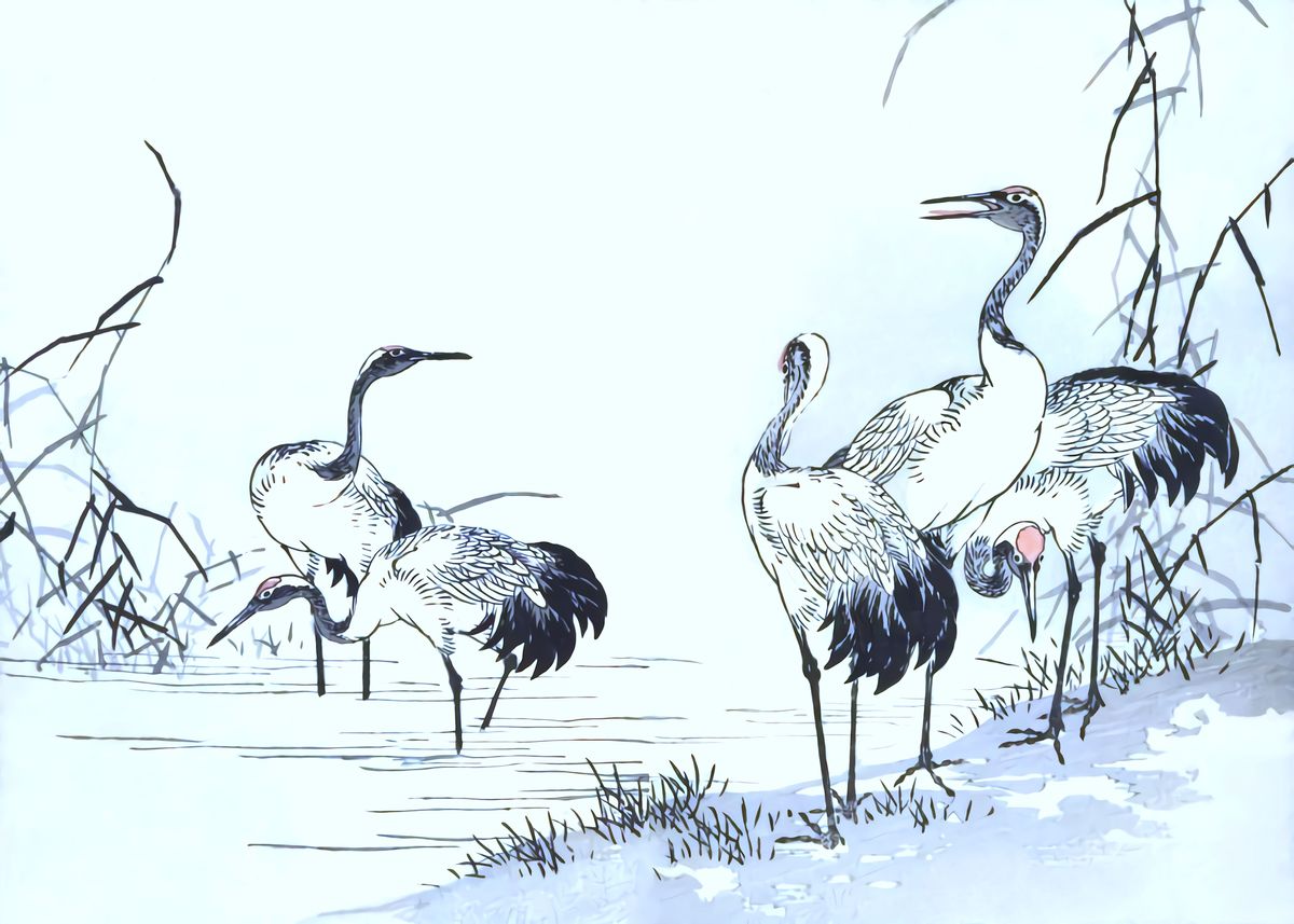 'Cranes Standing In Swamp' Poster, picture, metal print, paint by ...