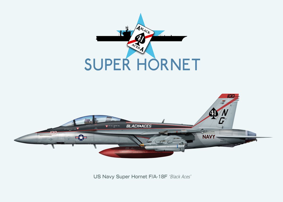 'F18 Super Hornet' Poster, picture, metal print, paint by Stuart ...