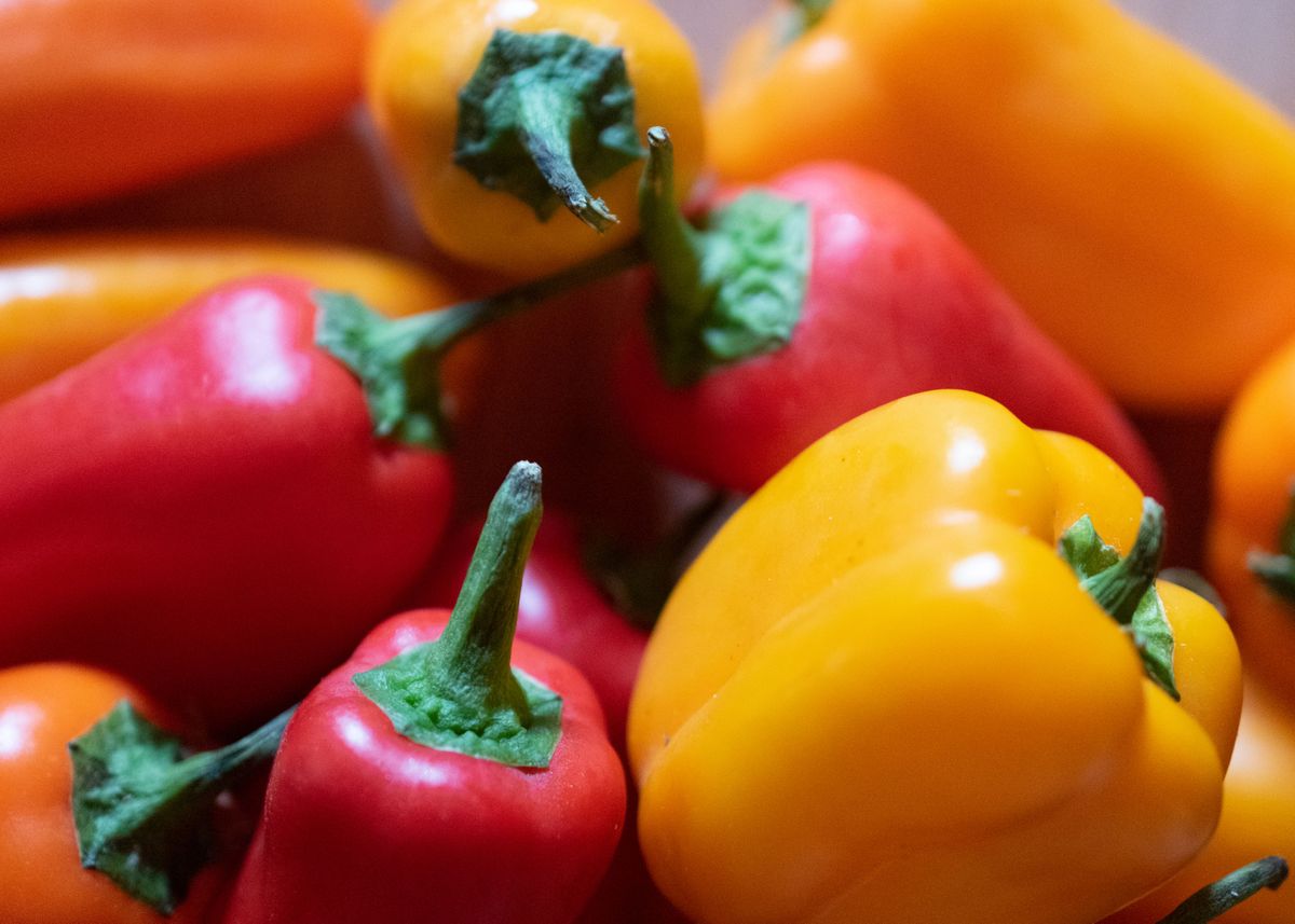 'Bell pepper ' Poster, picture, metal print, paint by LeewardDesign ...