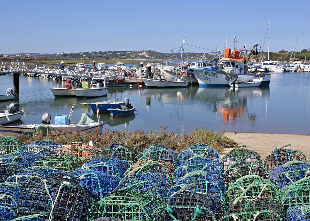 'Fishing in Alvor' Poster, picture, metal print, paint by ...
