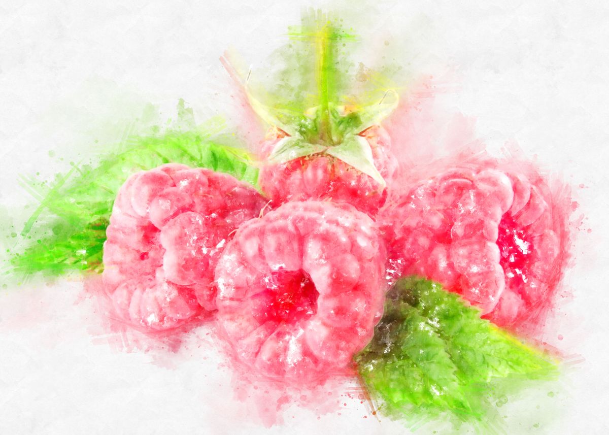 'raspberry ' Poster, picture, metal print, paint by shiner artist ...