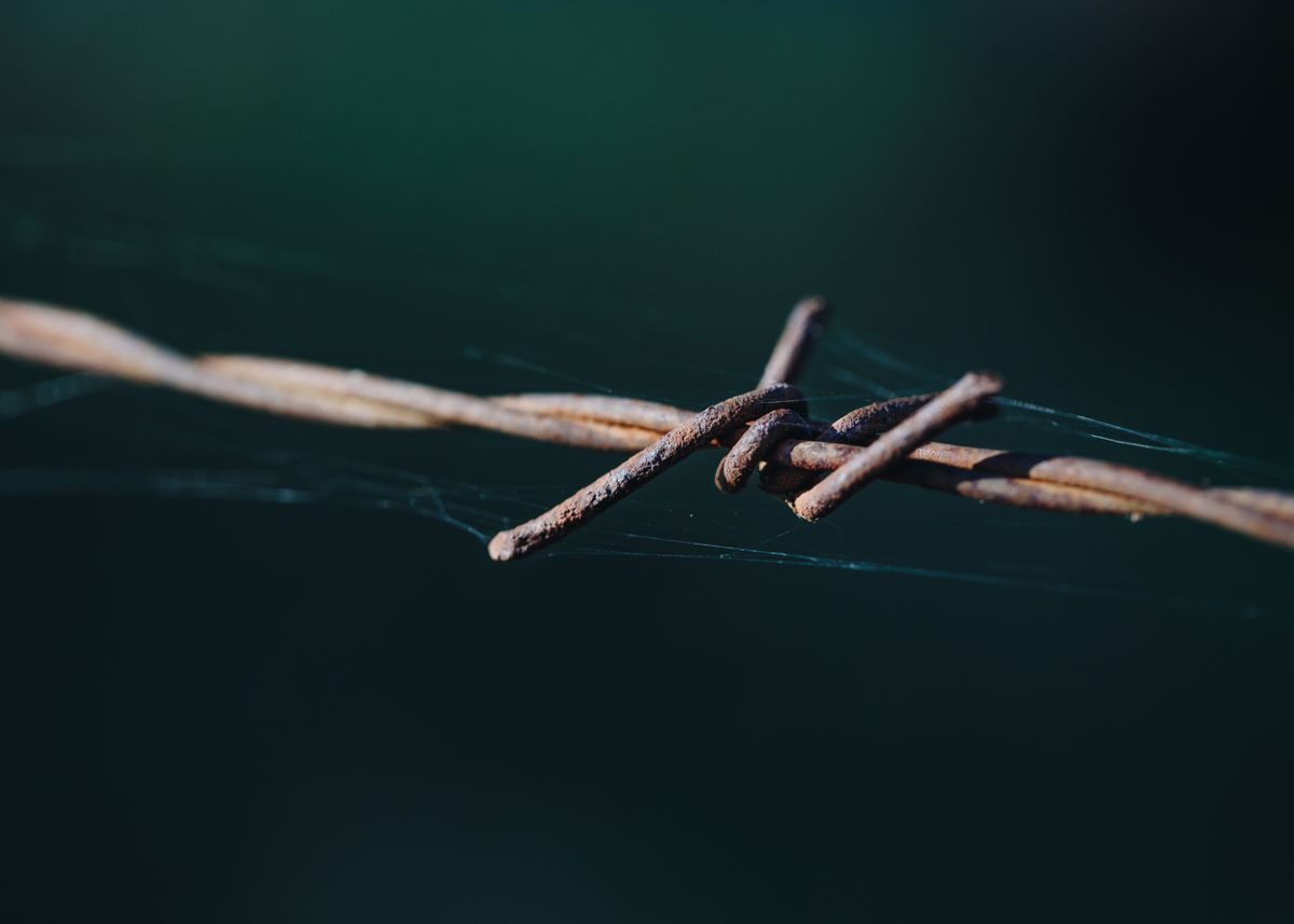 'Barbed wire' Poster, picture, metal print, paint by Donatella Loi ...