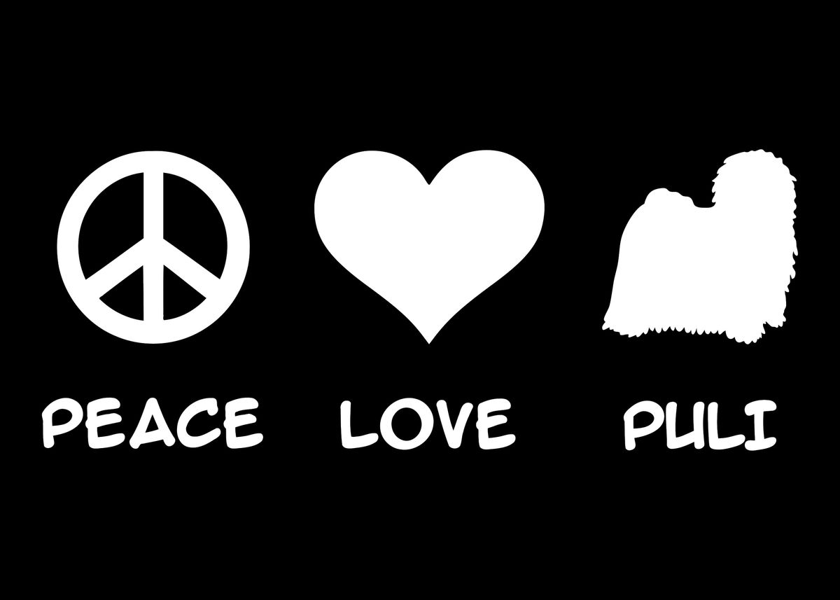 'Puli' Poster, picture, metal print, paint by Designzz | Displate