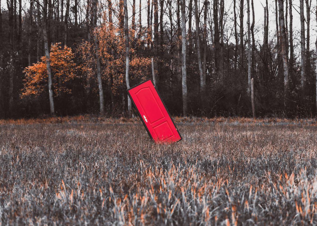 'falling door' Poster, picture, metal print, paint by JMOTION | Displate