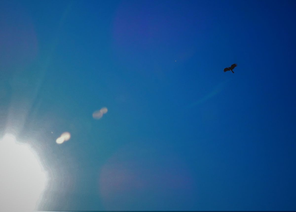 'ssb' Poster, picture, metal print, paint by Troy | Displate