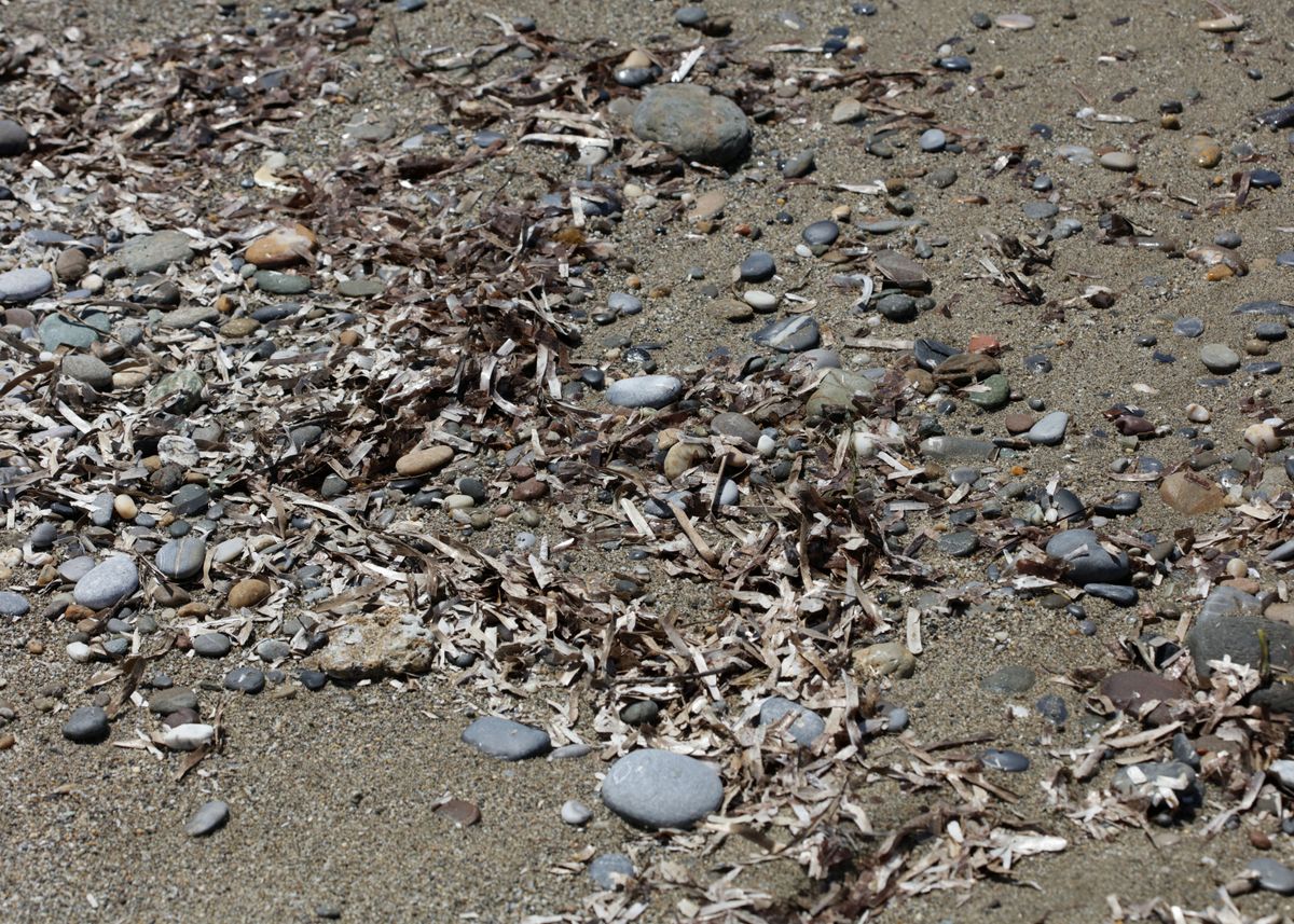 'Sea beach ground Crete' Poster, picture, metal print, paint by ...