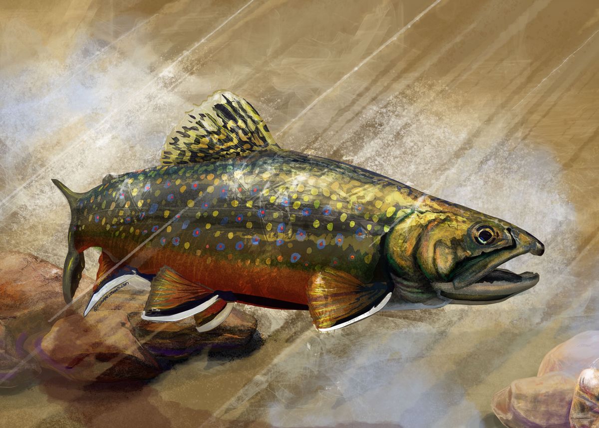 'The Native Brook Trout' Poster, picture, metal print, paint by Michael ...