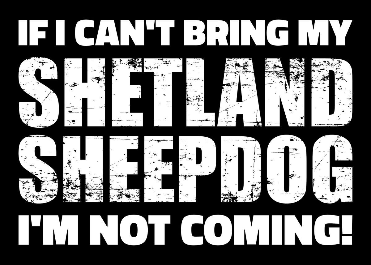 'Shetland Sheepdog' Poster by Designzz | Displate