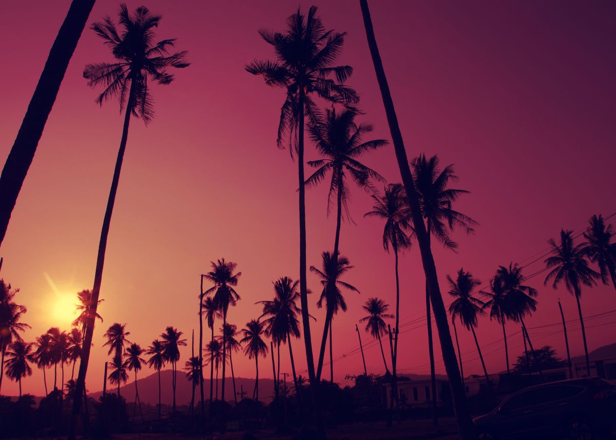 'coconut tree ' Poster by Khunkorn Laowisit | Displate