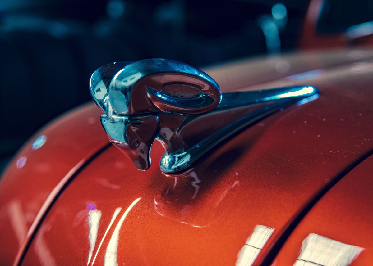 'Red Motor Car' Poster by NATURECO | Displate