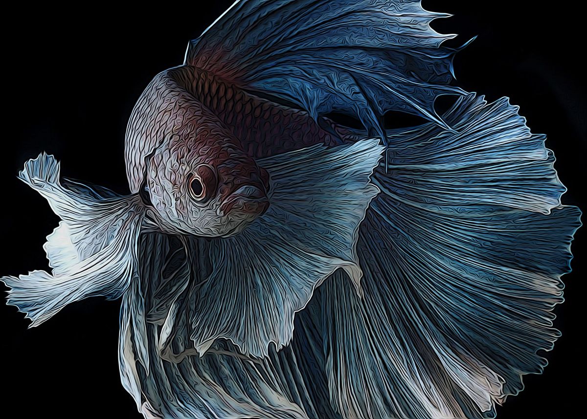 'Betta Fish' Poster, picture, metal print, paint by Bleesing Studio ...