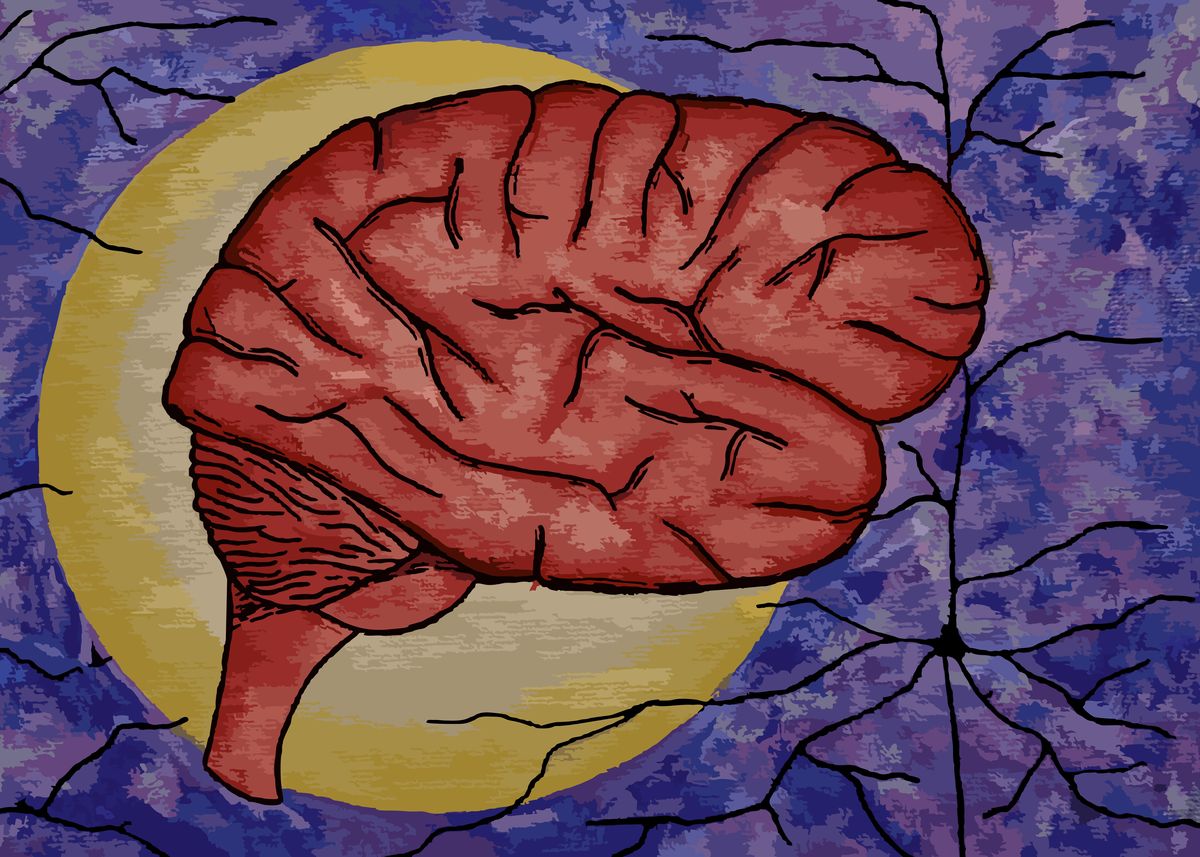 'Hallowed Brain' Poster, picture, metal print, paint by Katrina Deane ...