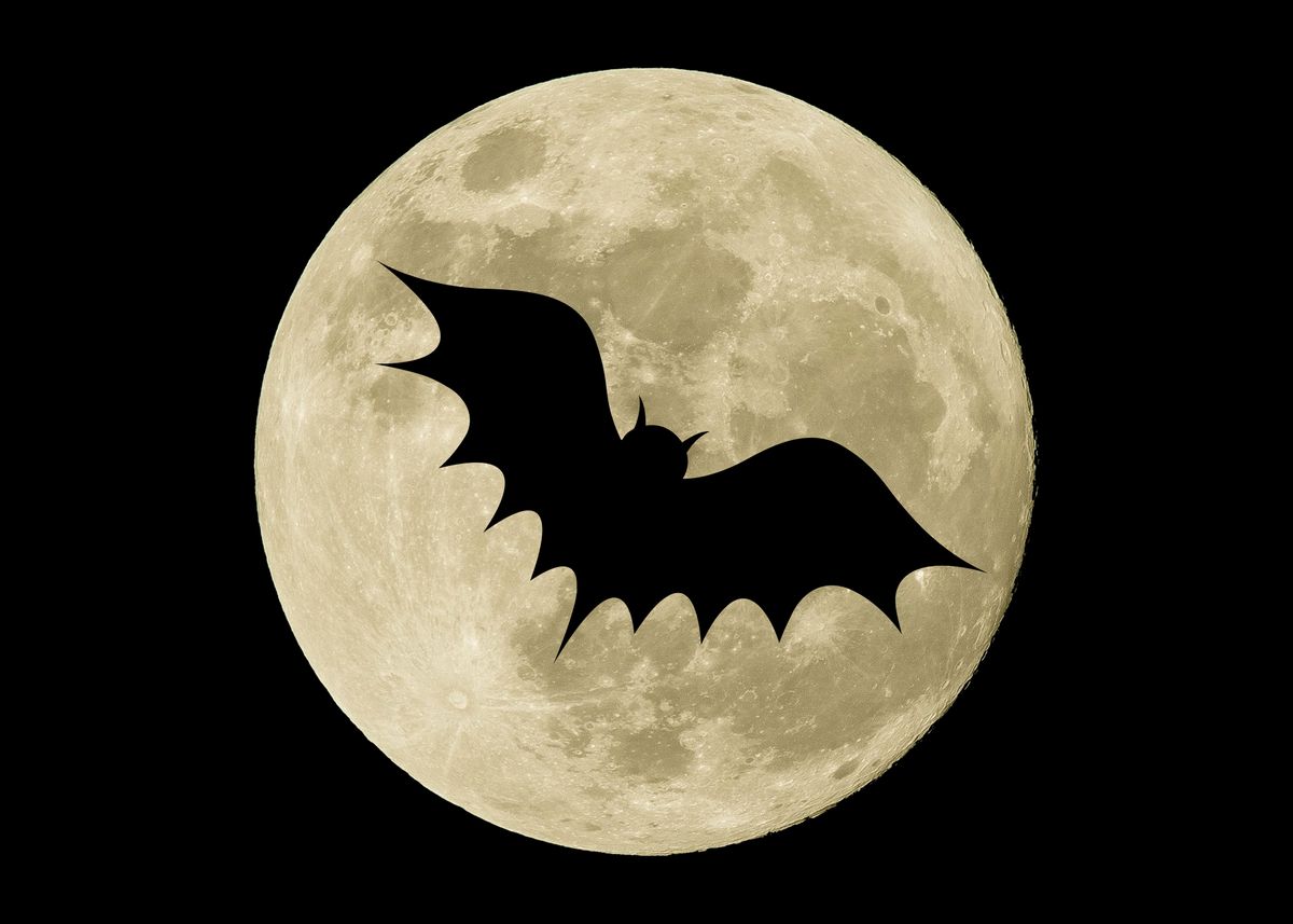 'Full Moon Bat Supermoon' Poster, picture, metal print, paint by ...