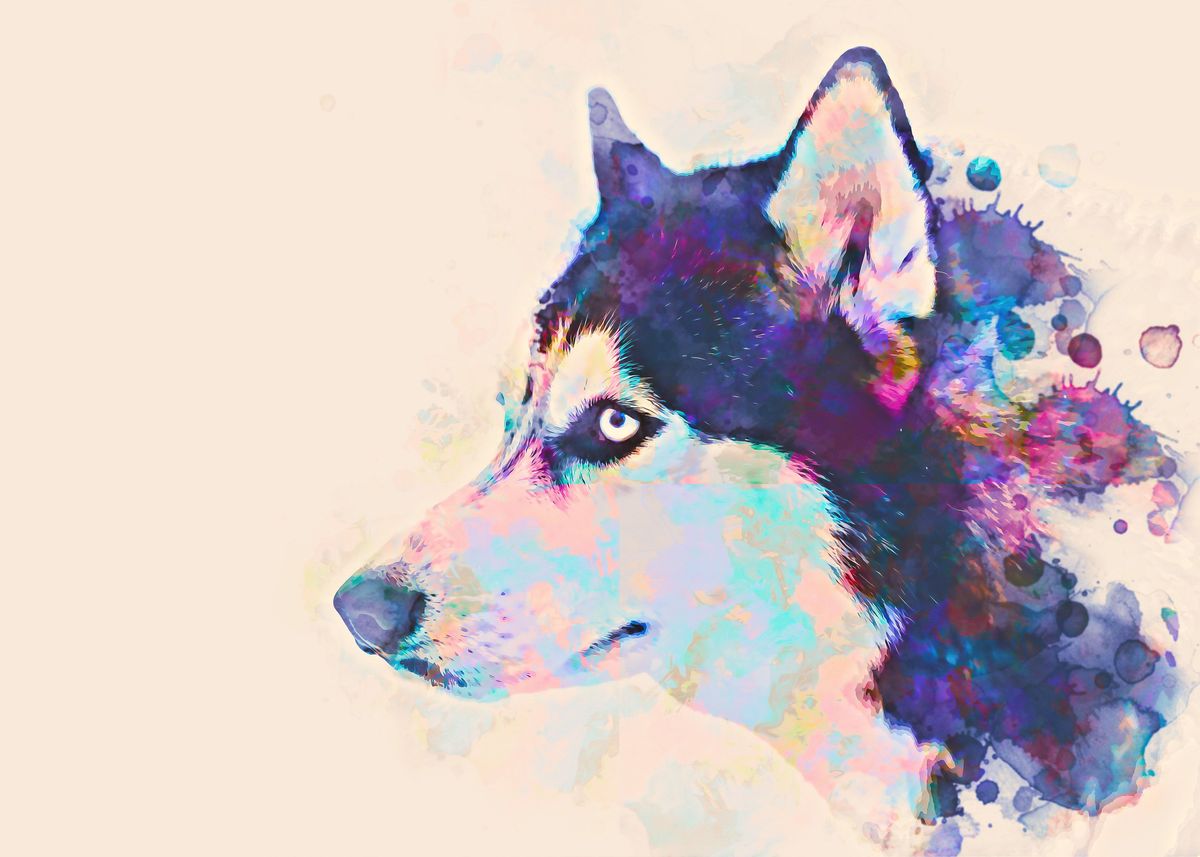 'Husky Dog Watercolor' Poster by Ali | Displate
