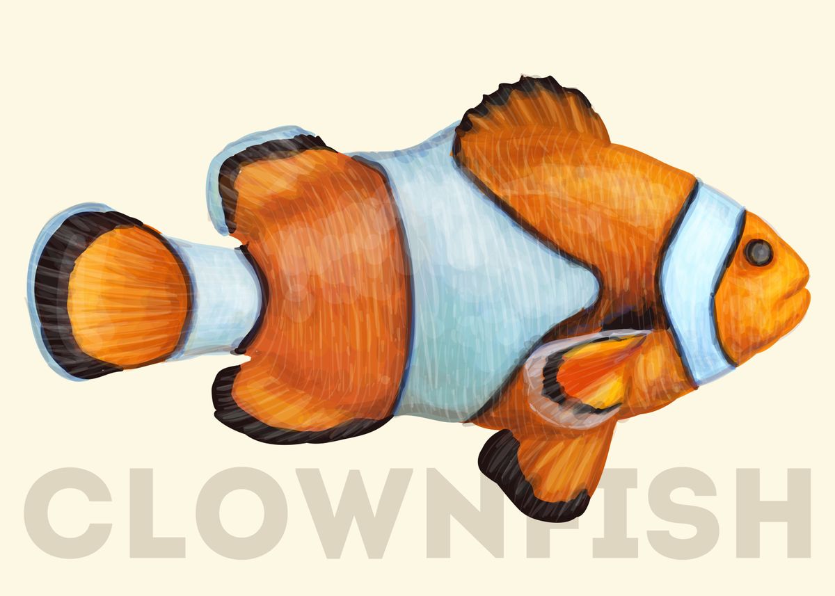 'ClownFish' Poster, picture, metal print, paint by Human Shadow | Displate