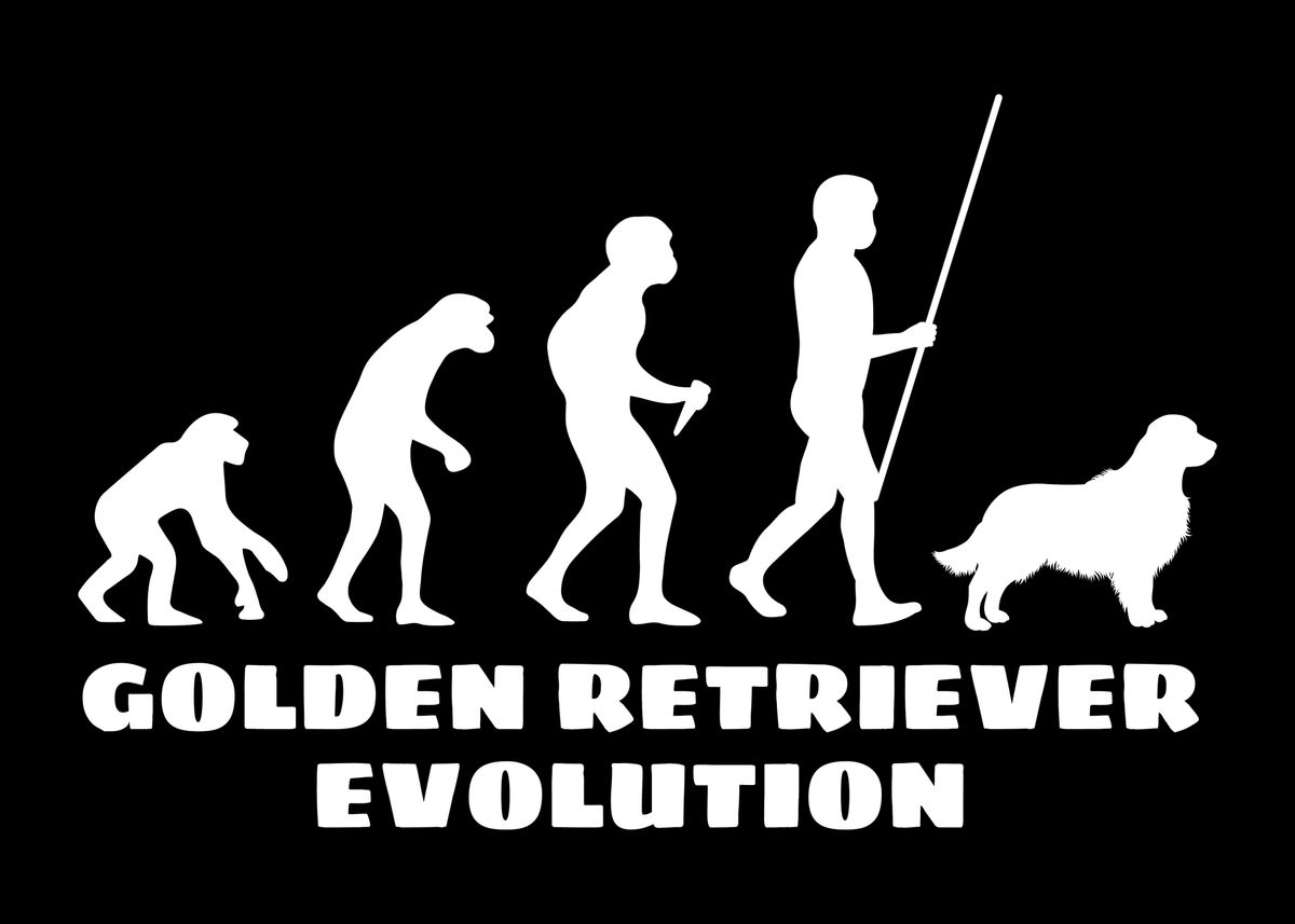 'Golden Retriever Evolution' Poster, picture, metal print, paint by ...
